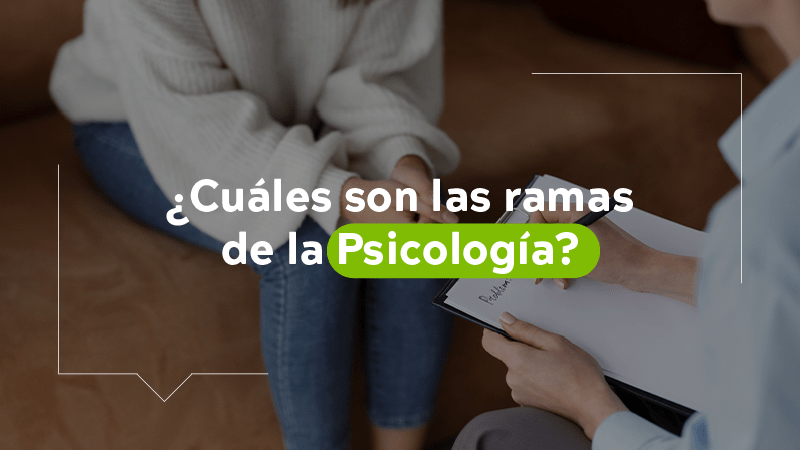 ¿Cuáles son las ramas de la Psicología?
